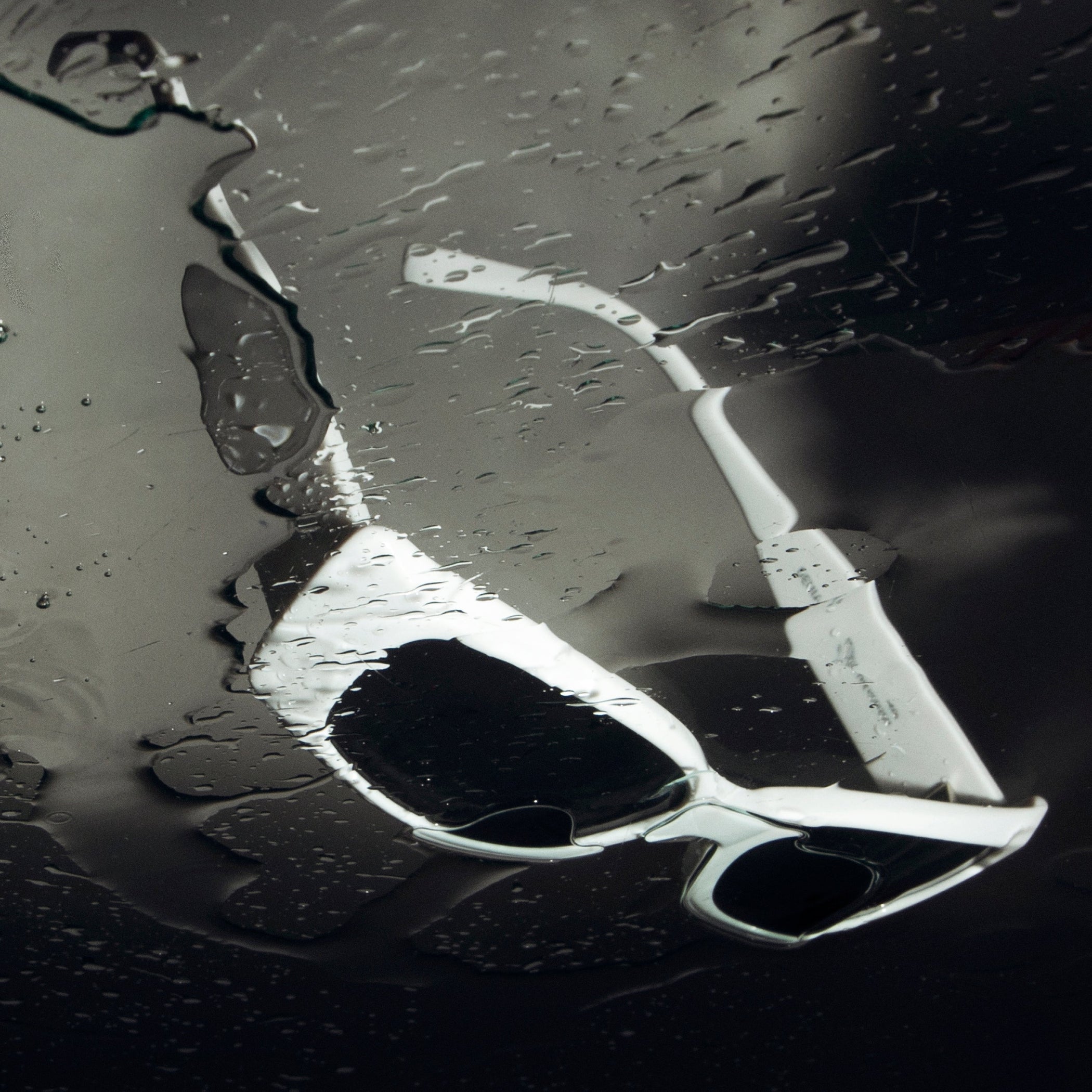 MOLKANO | Sunglasses & Optical Frames | Handmade in Italy